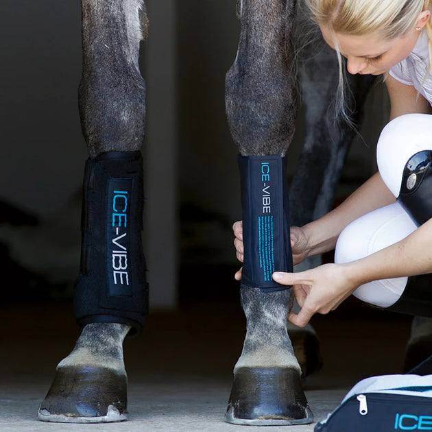 Unlock Your Horse's Potential with Equine Therapy Essentials | HorseCa