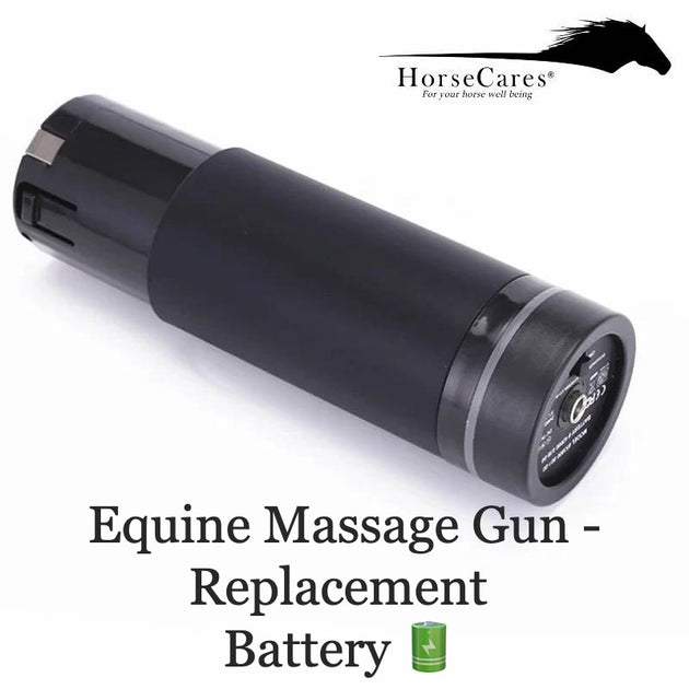 Keep Your Equine Massage Gun Running with Our Replacement Batteries ...