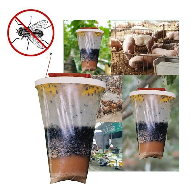 DIY Fly Control: How to Make Your Own Eco-Friendly Fly Trap at Home
