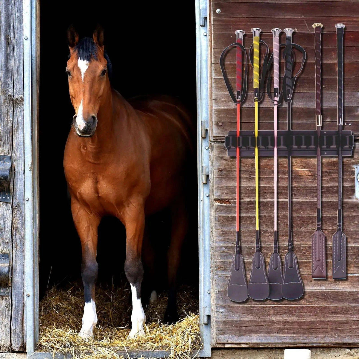 Wall-Mounted Whip Rack: Organize Your Tack Room with Ease
