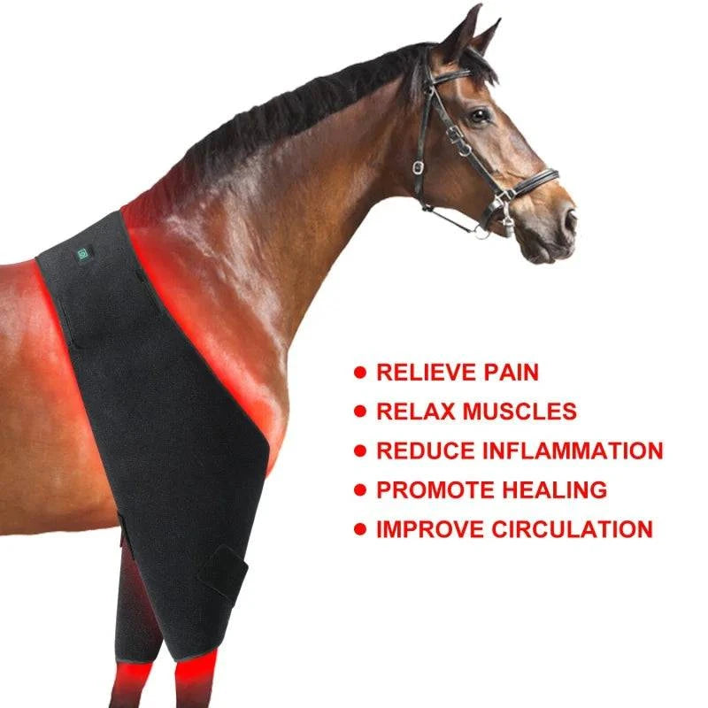 Comfortable Equine Care Device Horse Back Red Light Therapy Pad Horse ...